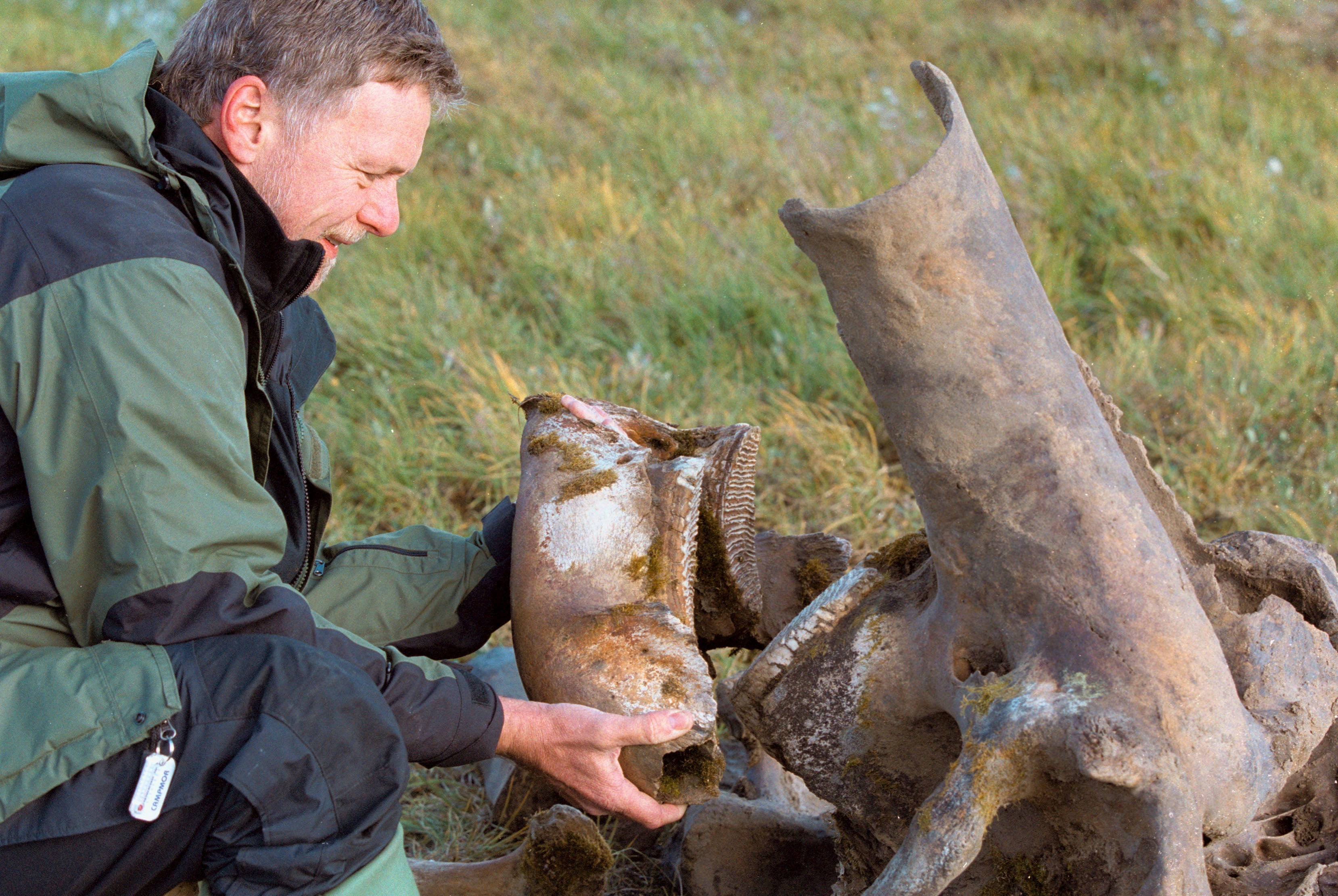 Darwin Conversations